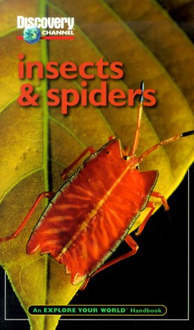 Discovery Channel: Insects & Spiders: An Explore Your World Handbook ...