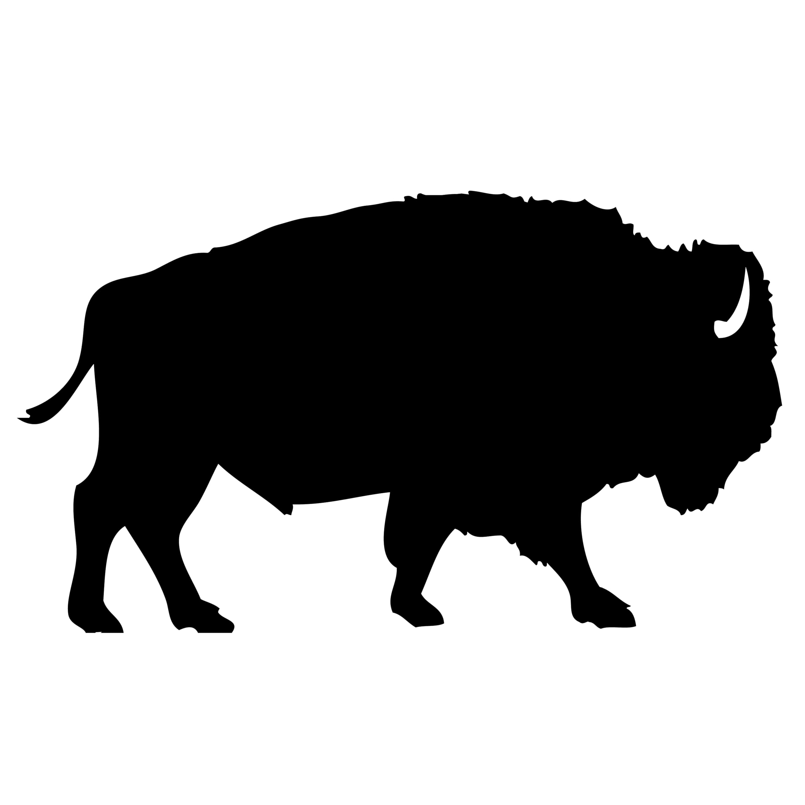 Amazon.com: Buffalo Animal Silhouette Metal Wall Art - Inspiring Metal ...
