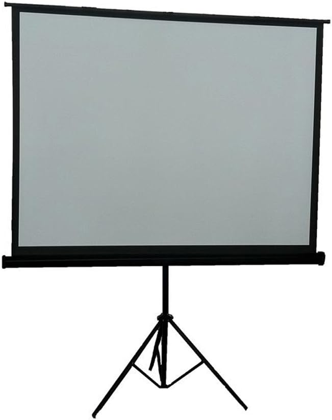 Amazon.com: ProHT 100-inch Portable Projection Screen (05358), w/Pull ...