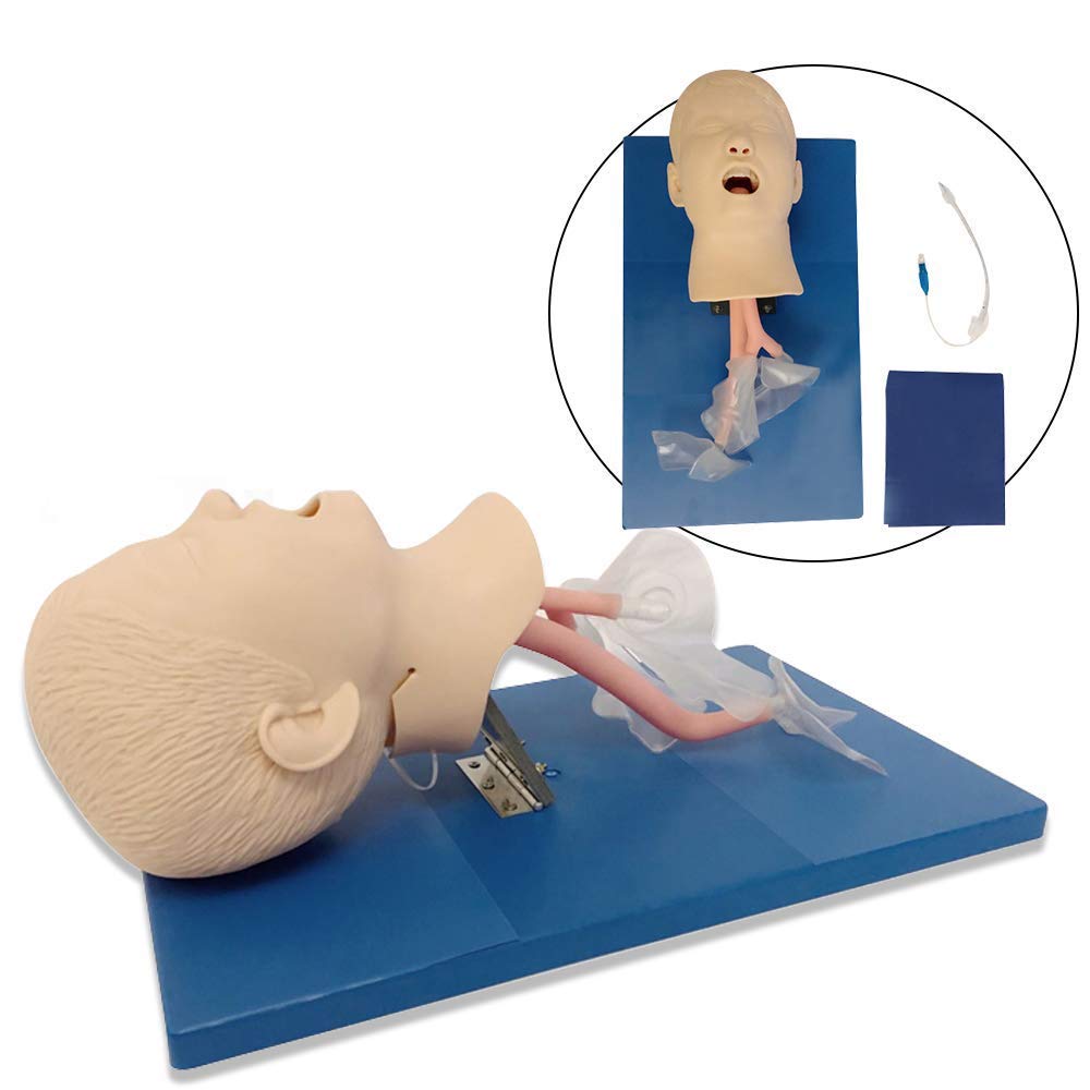 LXT PANDA Airway Management Trainer Intubation Manikin, Oral Nasal ...