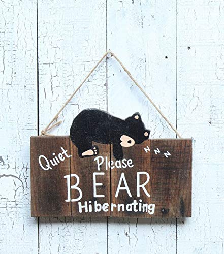 Amazon.com: Quiet Please Bear Hibernating Wood Sign Door for Bear Lover ...