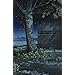 Amazon.com: Japanese Art Print - Hachirogata Lake, Akita, at Night ...
