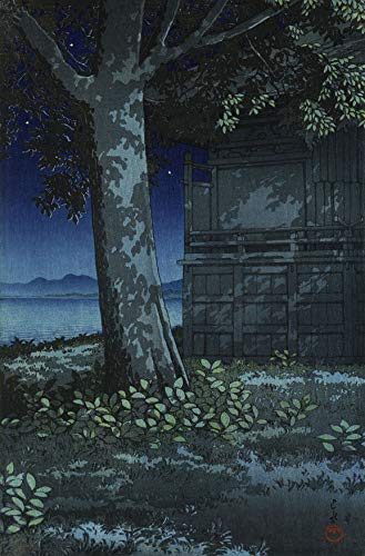Amazon.com: Japanese Art Print - Hachirogata Lake, Akita, at Night ...