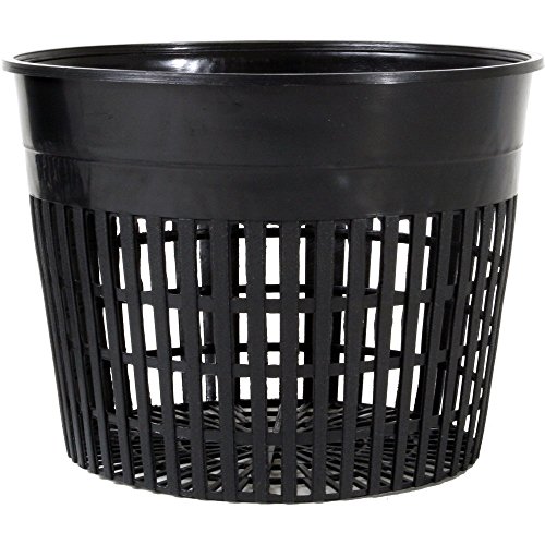 Amazon.com: Hydrofarm HG6NETPOT Inch, 50-Pack Net Pot, 6", Bag of 50, 6 ...