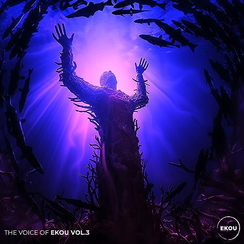 Écouter The Voice of Ekou 3 par Revaux, Thematic, Trex, Submarine ...