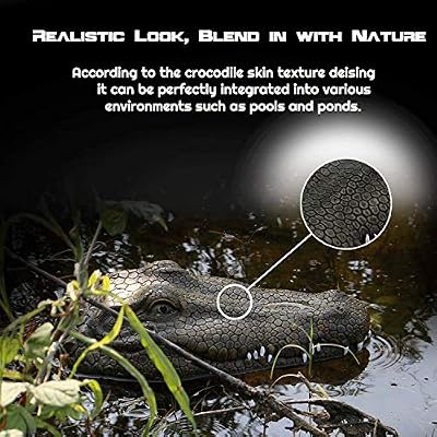 2.4 GHz Remote Control Alligator Head Boat RC Boats Sri Lanka | Ubuy