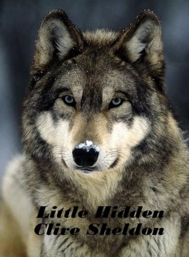 Amazon.com: Little Hidden eBook : Sheldon, Clive: Kindle Store
