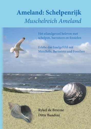 Ameland: Schelpenrijk / Muschelreich Ameland: Het Eilandgevoel Beleven ...