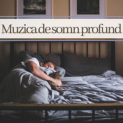 Amazon.com: Muzica de Somn Profund 2019 - Cântece să Doarmă Bine ...