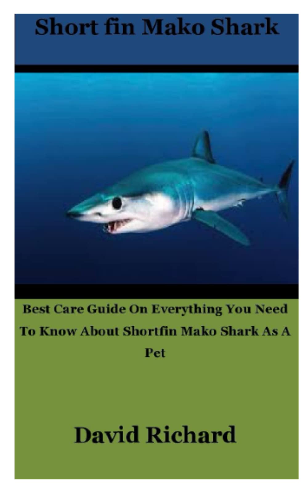 Short Fin Mako Shark Best Care Guide On Everything You | Desertcart Japan