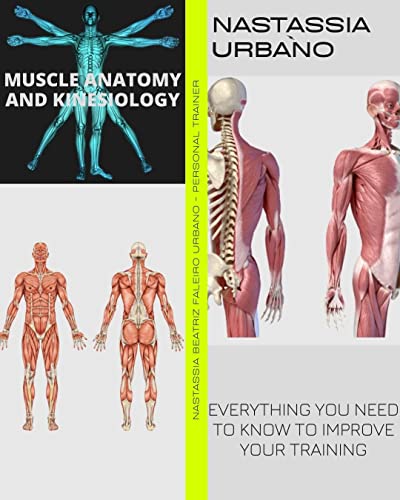 MUSCLE ANATOMY AND KINESIOLOGY: EVERYTHING YOU NEED TO KNOW TO IMPROVE ...