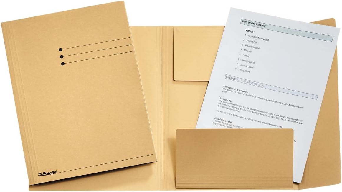 Amazon.com : Leitz Three-Flap Folder A4 Manila Cardboard Chamois ...