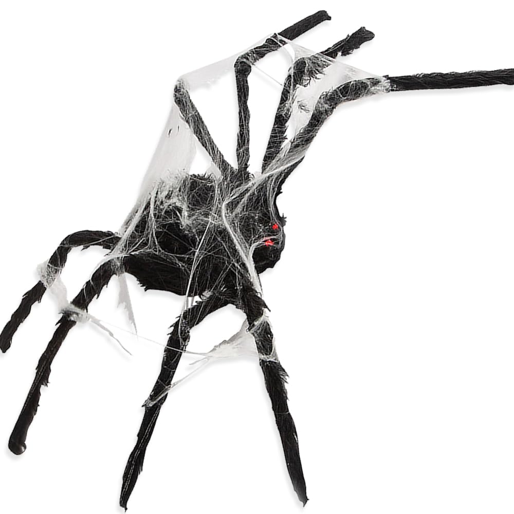 Animated Spider Web With Spider