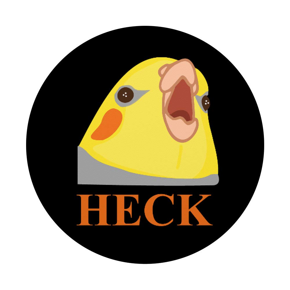 Lindo Meme De Pajaro Qué Pájaro Es Este En El Meme?