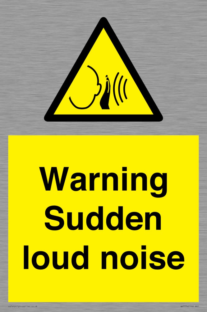 Warning Sudden loud noise Sign – 200x300mm – A4P – BigaMart