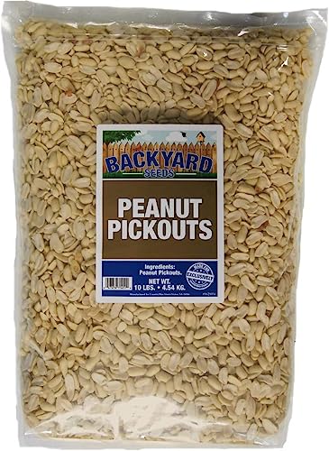 Get Nutty with the Top 10 Wild Peanut Products - Your Ultimate Buying ...