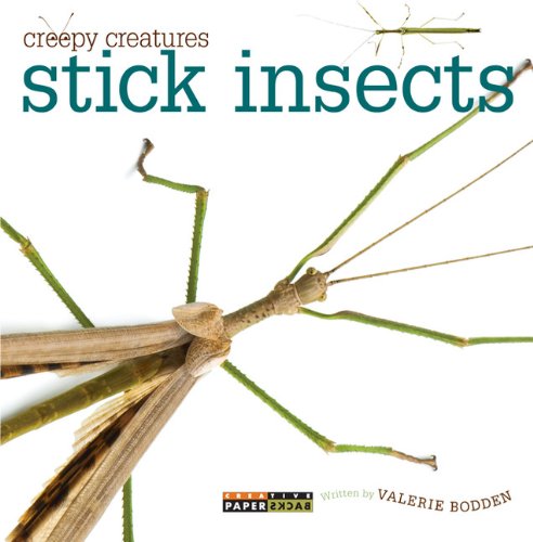 Creepy Creatures Stick Insects By Bodden Valerie