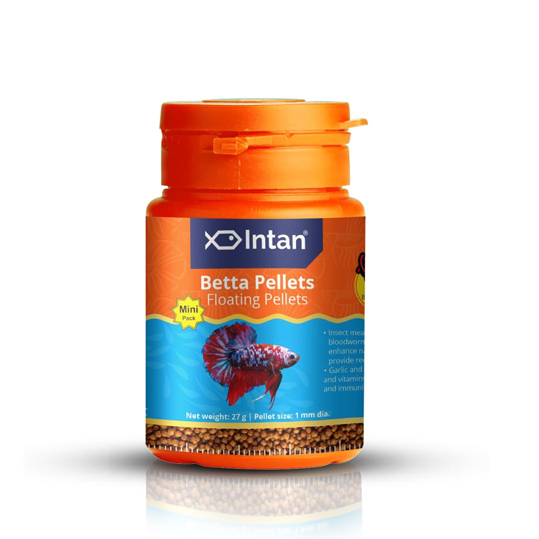 Intan Growel Betta Pellets (1mm Floating) | 27gm - Highly Nutritious ...