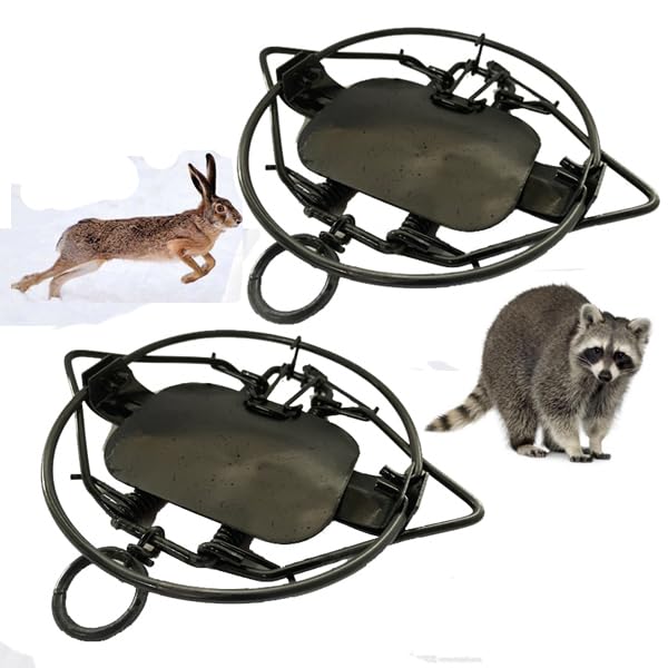 Small Animal Traps Raccoon Rabbit Fox Skunk Possum Feral Cat Weasel ...
