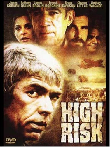 High Risk [Internacional] [DVD]: Amazon.es: Películas y TV