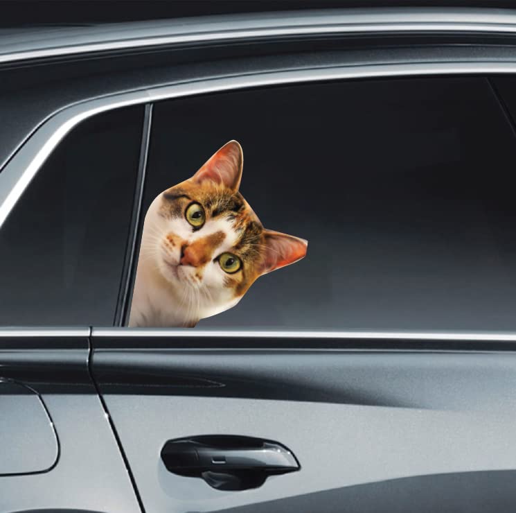 Amazon.com: Cat Car Window Decals Funny 3D Weatherproof Decals (Calico Cat)