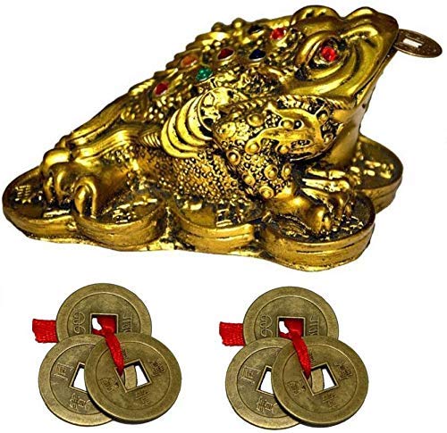 GJ Feng Shui Frog Showpiece Brass Colour (7 cm x 6 cm x 9 cm) : Amazon ...