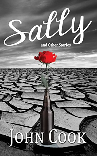 Sally (English Edition) eBook : Cook, John: Amazon.de: Kindle-Shop