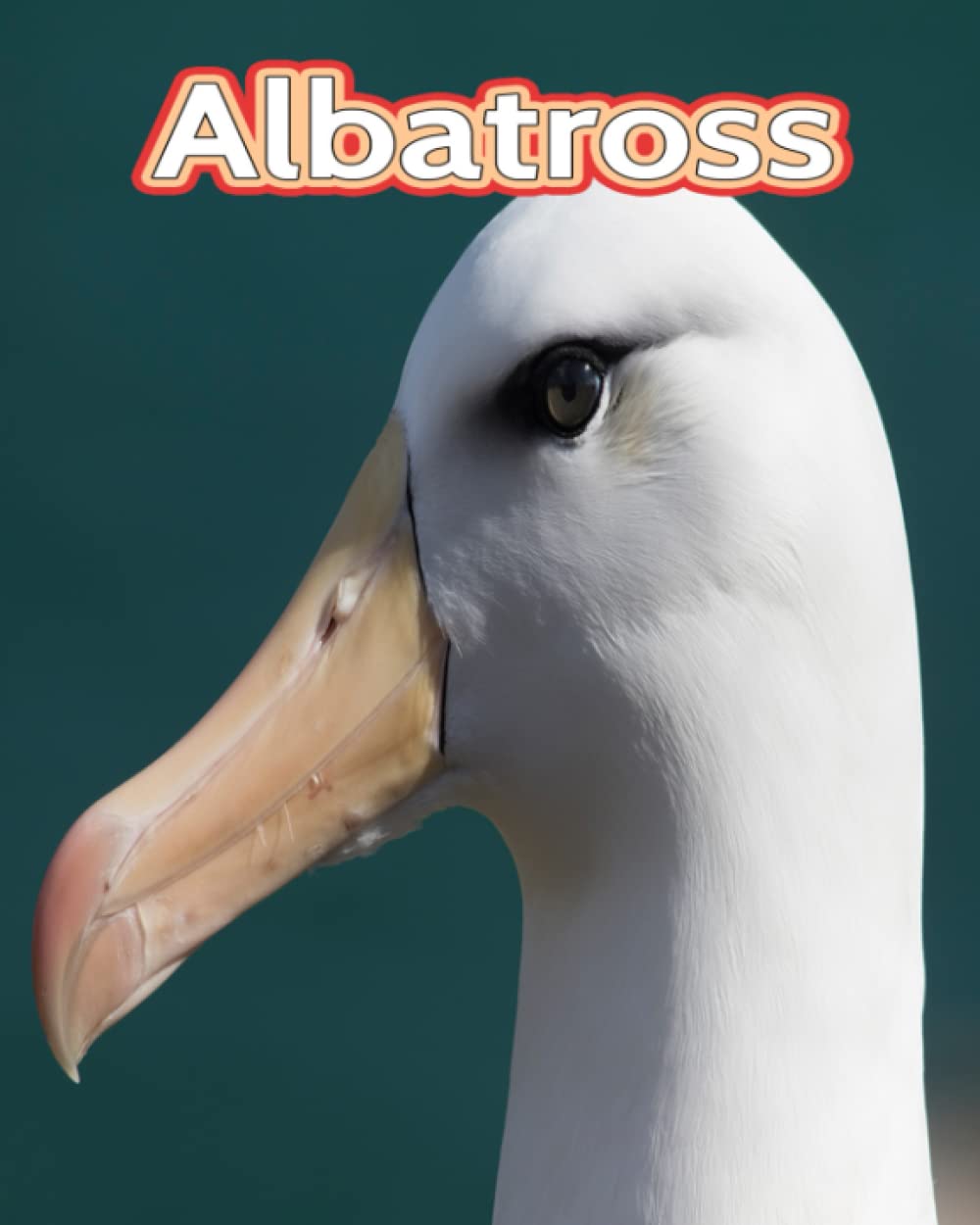 Albatross: Facts Book (Fun Facts Book For Kids): Höfler, Lina ...