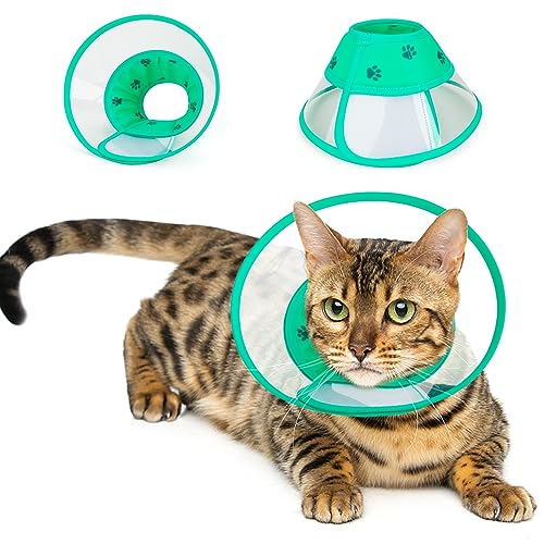 10 Purrfect Cones for Kittens to Keep Them Entertained - A ...