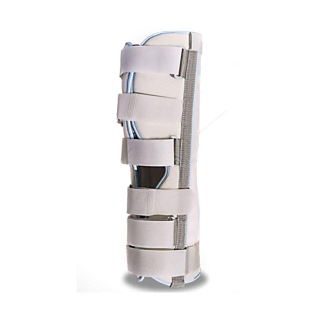 Knee Joint With Knee Leg Fracture Fixation Splint Meniscus Pad ...