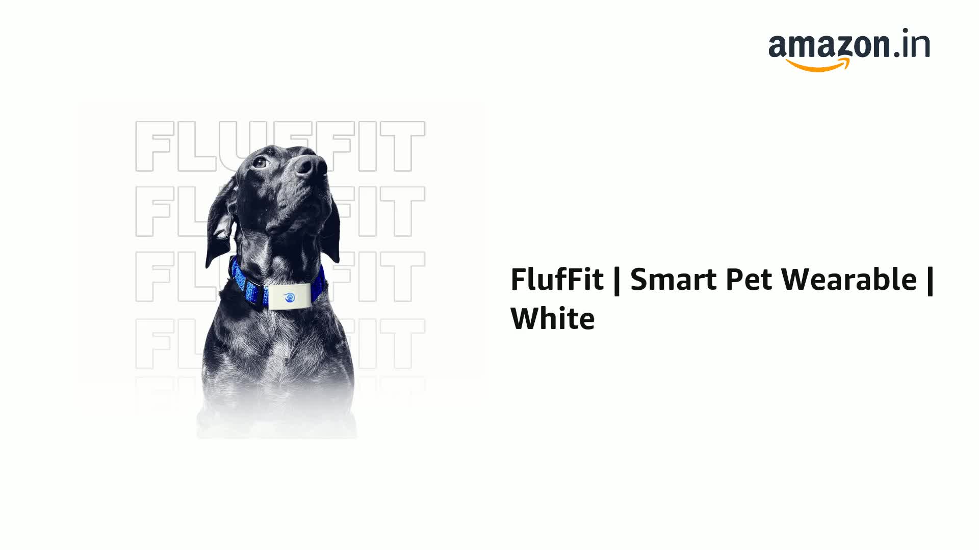Watch FlufFit | Smart Pet Wearable | White on Amazon Live