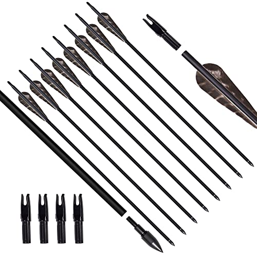 ARCHERY SHARLY Lot de 12 flèches de chasse en carbone de 78,7 cm pour ...