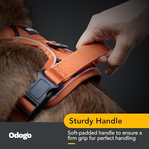 ODOGO, No-Pull Harness, Size S, Burnt Orange, Adjustable Reflective ...