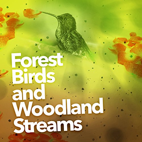 Play Forest Birds and Woodland Streams by Forest Sounds Relaxing Spa ...