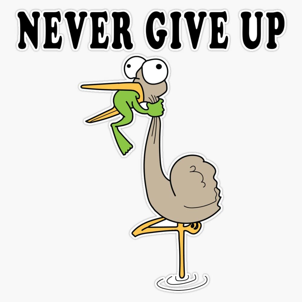 Amazon.com: Never Give UP Sticker Bumper Sticker Vinyl Decal 5 ...