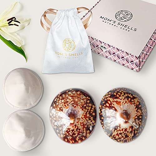 Amazon.fr Les meilleures ventes: Les articles les plus populaires dans ...