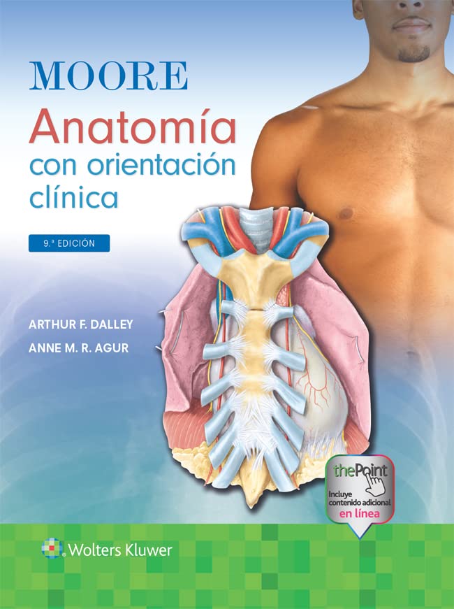 Moore. Anatomía con orientación clínica (Spanish Edition) eBook ...
