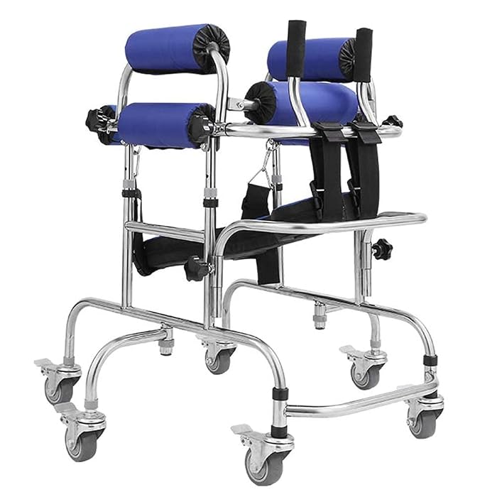 Buy Walkers for seniors, Small Walker with Seat, Handles, 6 Wheels ...