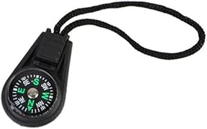 Amazon.com: WAGA Mini Portable Compass,Portable Compass Navigation,Kids ...