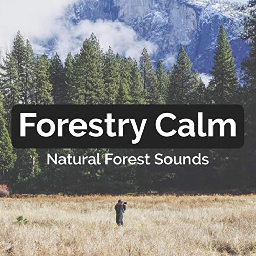 Play Forestry Calm by Natural Forest Sounds on Amazon Music