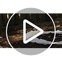 Amazon.com : BloomingBulb Seed Mat - Easy to Plant and Grow Garden ...
