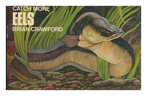 Eels (Catchmore): Crawford, Brian: 9780723406570: Amazon.com: Books