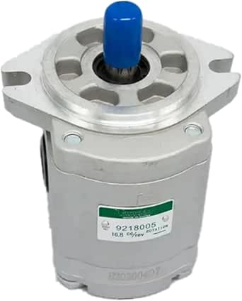Amazon.com: XYohykai 9218005 4276918 Pilot Pump Gear Pump For Hitachi ...
