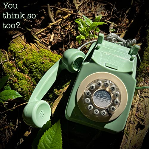 Play You think so too? by Shae on Amazon Music