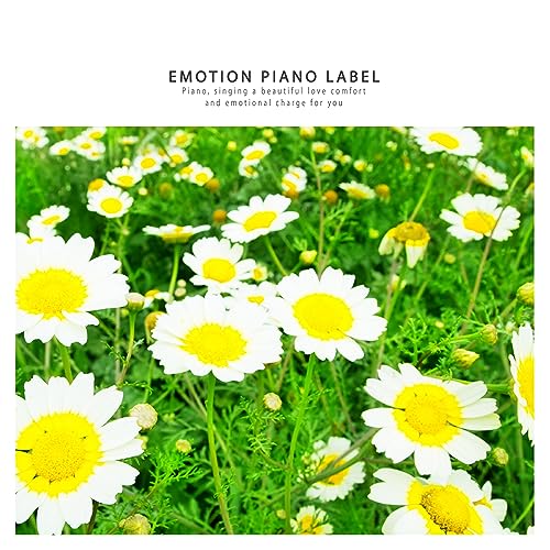 Play Piano music that gives life and joy with the spring season of life ...