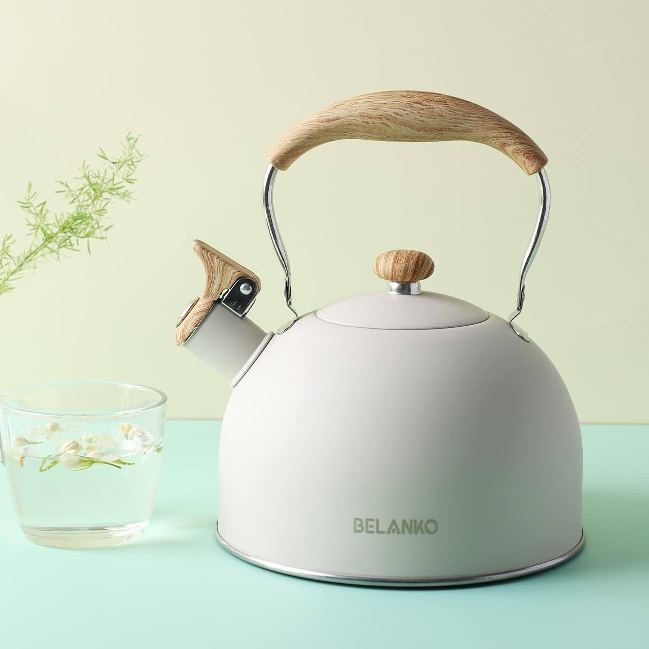 Amazon.com: BELANKO Whistling Tea Kettle Stovetop, Surgical-Grade ...