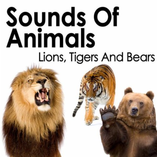 Amazon Music - Pro Sound Effects LibraryのSounds of Animals: Lions ...