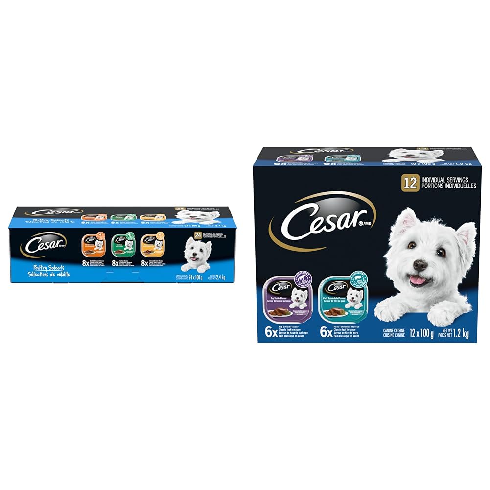 CESAR Classic Loaf in Sauce Adult Wet Dog Food Poultry Selects Variety ...