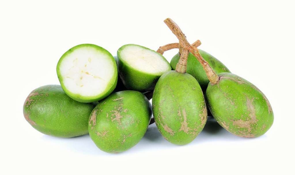 Buy Creative Farmer Grafted High Yield Rare Dwarf Indian Hog Plum ...