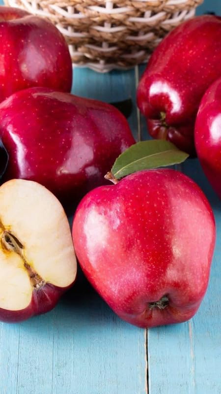 Ritz Farming® Apple fruit seeds | Red color Apple fruit seeds for Home ...